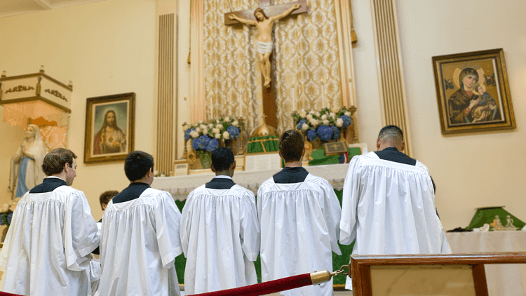 Home The Traditional Latin Mass in South Florida